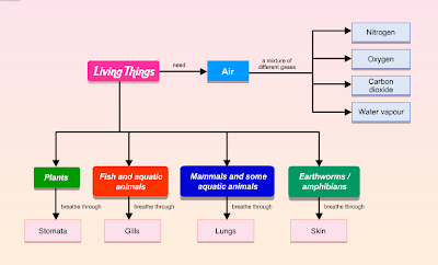 My Learning Corner: Concept map ~ Respiratory
