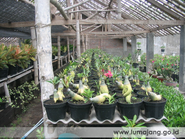 My Lovely Town.......... | riffStudio