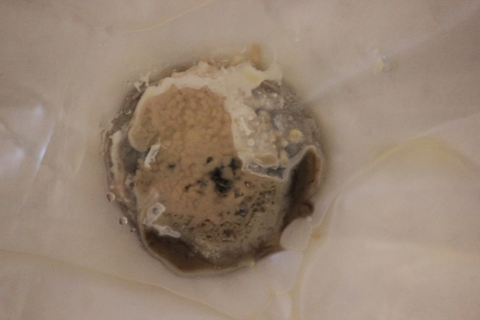 Horsing Around At Home: Decomposition experiment.