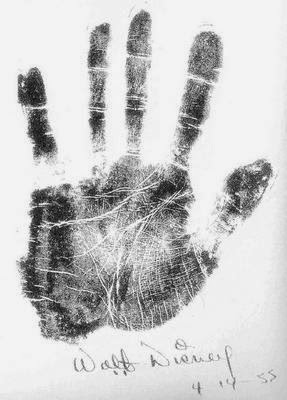 Disney Avenue: Getting to Know Walt Disney Through His Hands