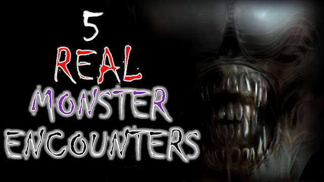 5 Real Monster Scary Stories