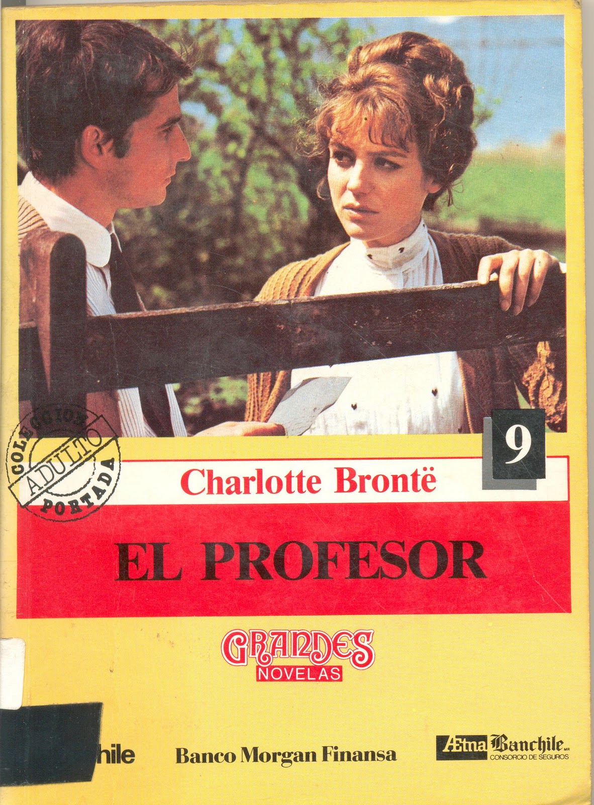 BiblioArauco: El profesor