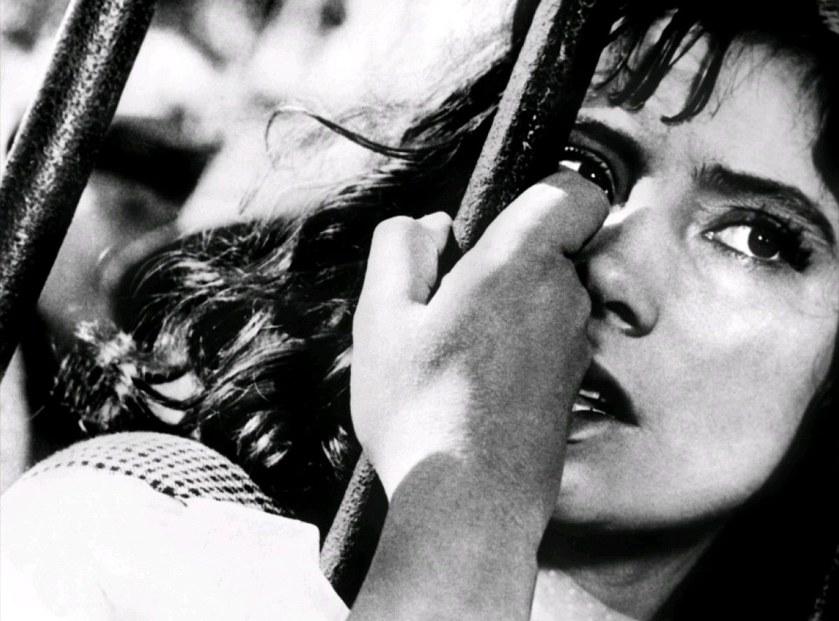 Updates, Live: Letyat Zhuravli (The Cranes Are Flying)