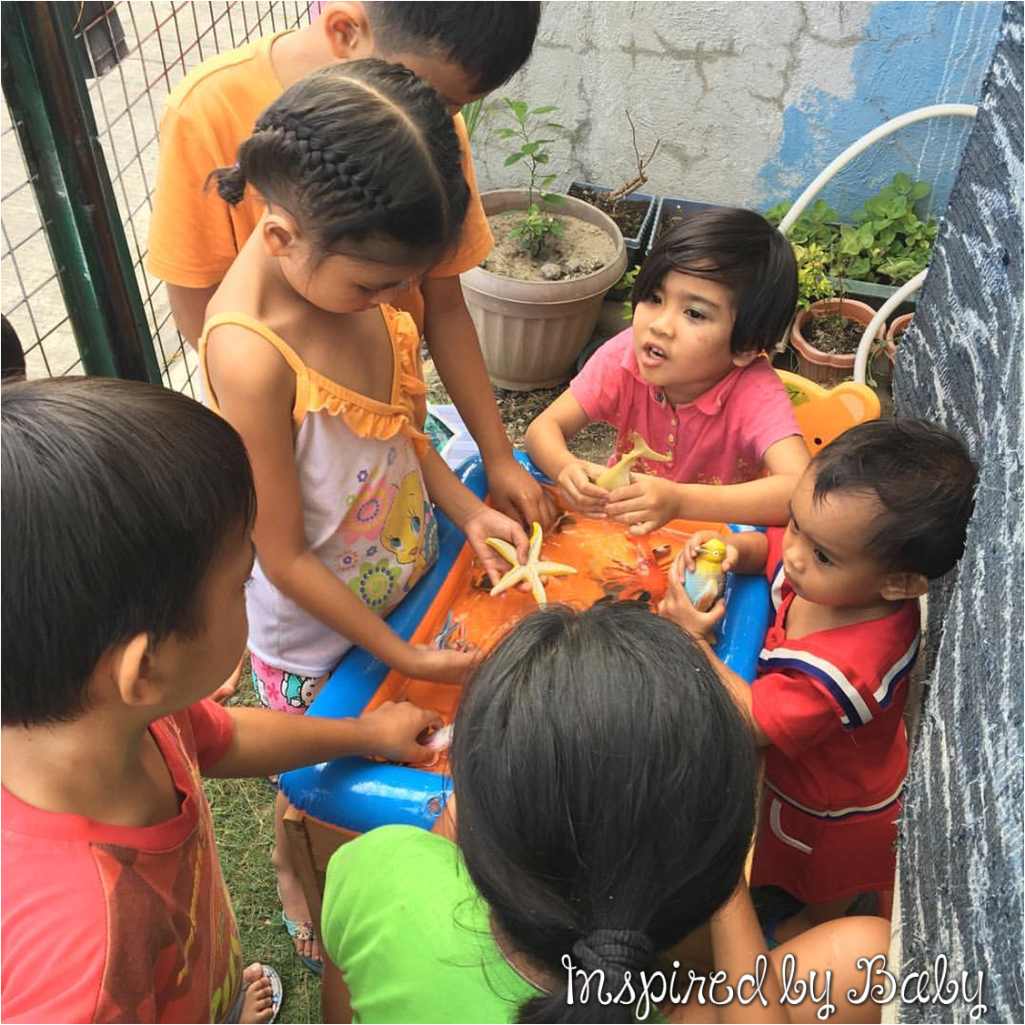 Dealing with Primary Complex