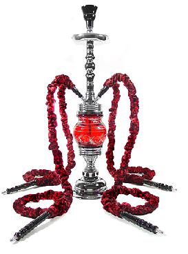 Shisha: Shisha maintenance and tips