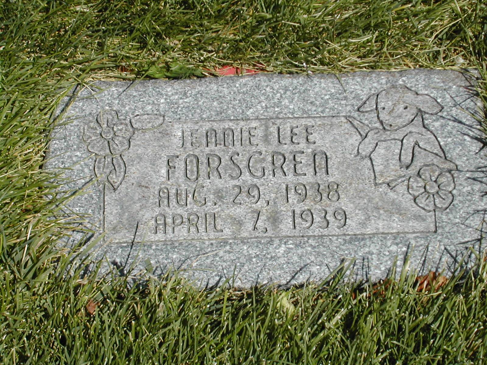 Forsgren, Peter Adolph & Descendants