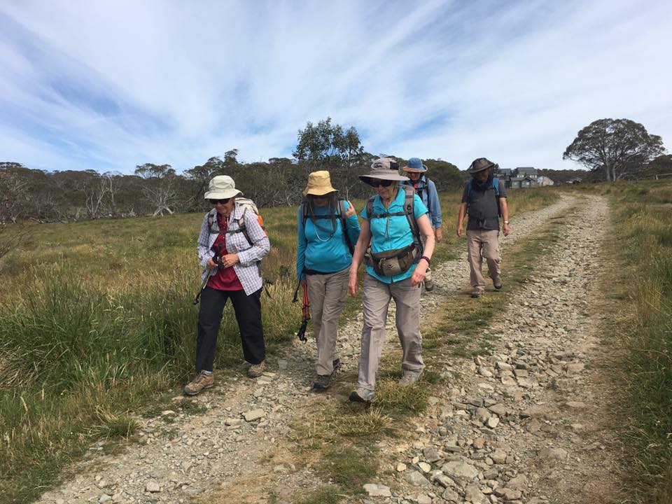 walkabouters club of victoria inc: The Montane Track and Precipice Plain