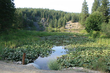 FunToSail: Kelso Lake, Bonner County, Idaho