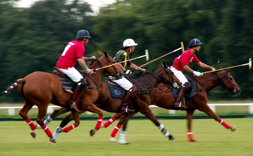 jorge andres: Polo (Deporte)