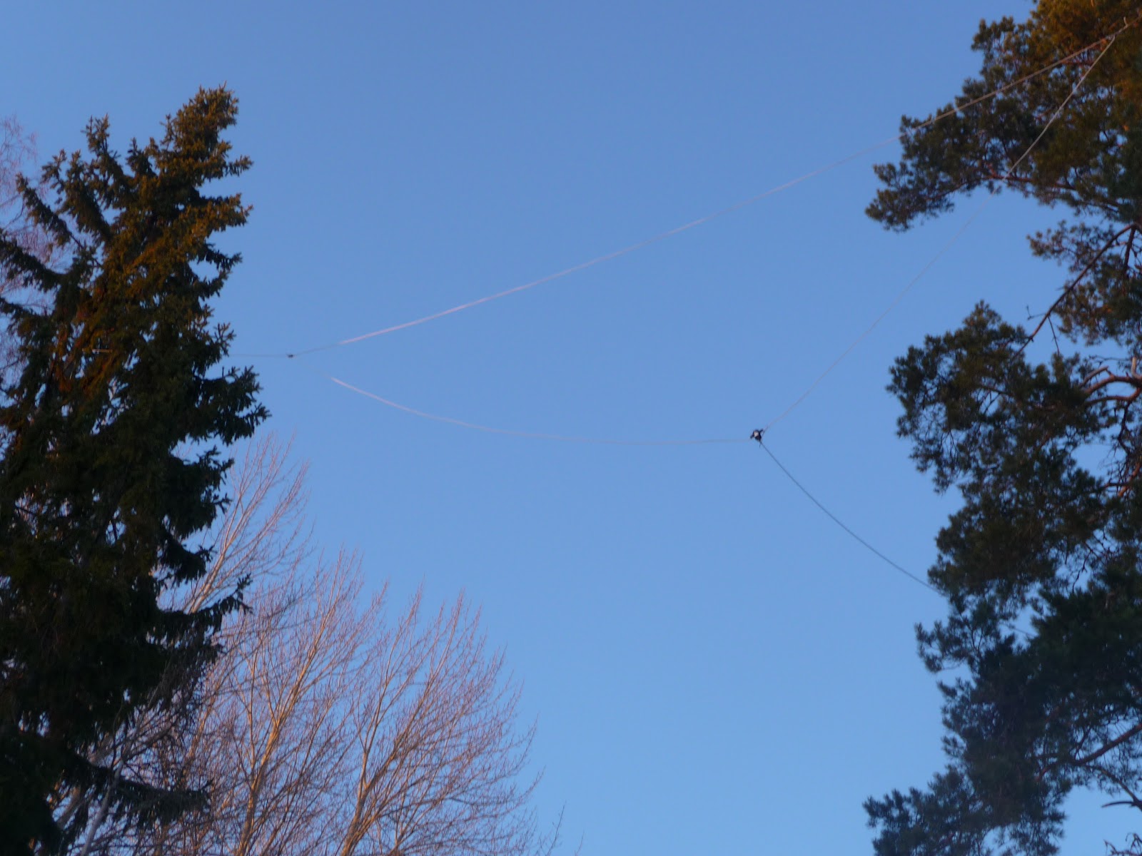 OH3GGQ Sauli: Vertical delta loop for 20m