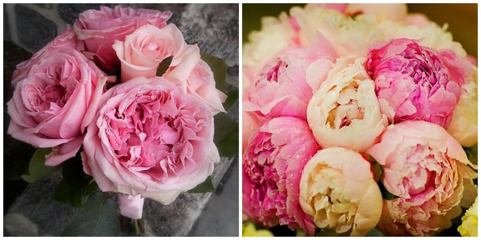 Adrianne Elizabeth Events: 2014