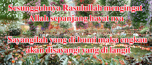 Suluk Linglung (Sunan Kalijaga) I - GRIYA SAKINA