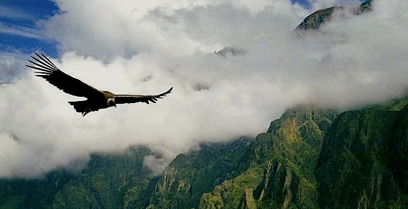"Juntos en el Camino de la Vida": El Condor Pasa! (The Condor Passes)