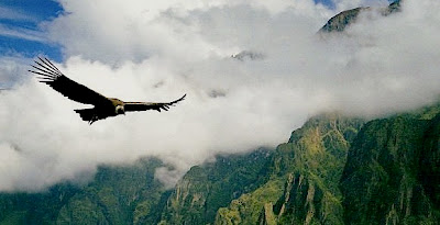 "Juntos en el Camino de la Vida": El Condor Pasa! (The Condor Passes)