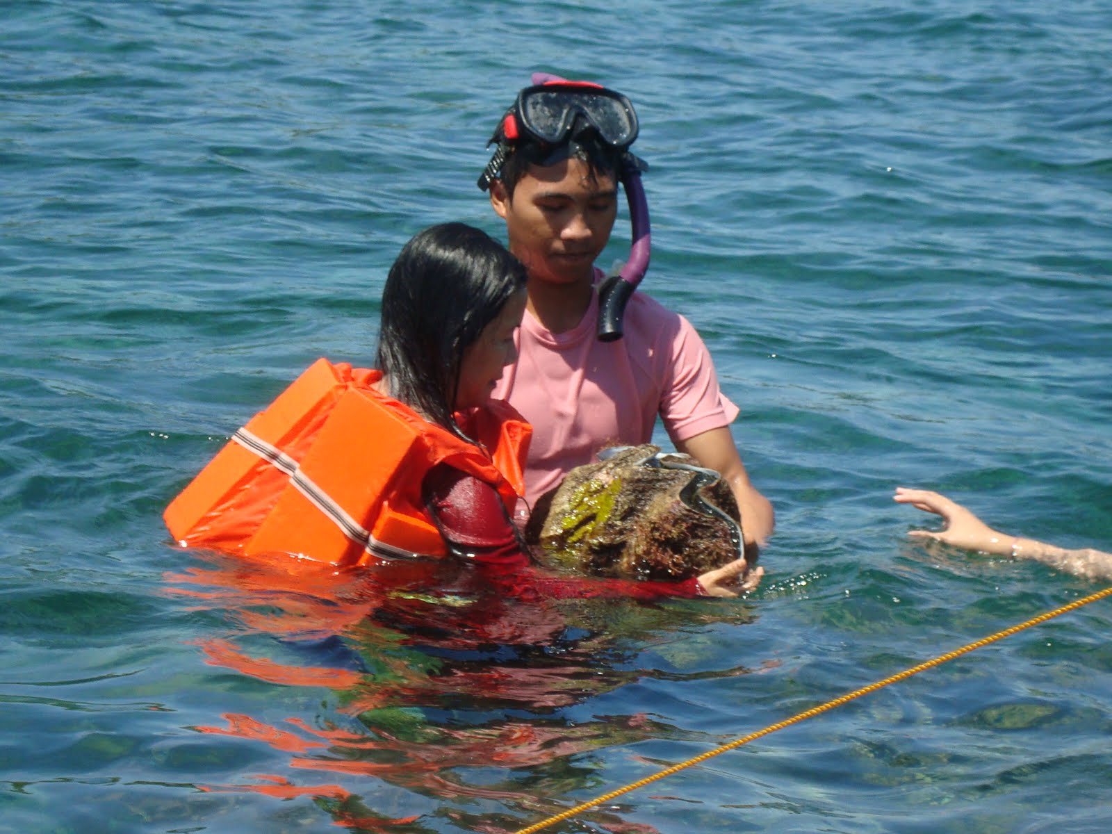 Living with Nature - School on Blog by Dr. Abercio V. Rotor: Giant Clam ...