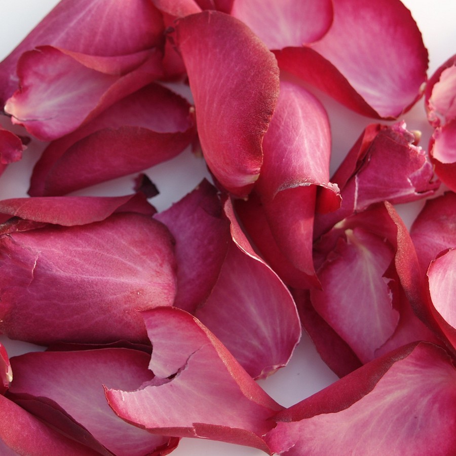 Our Beautiful World: Rose Petals