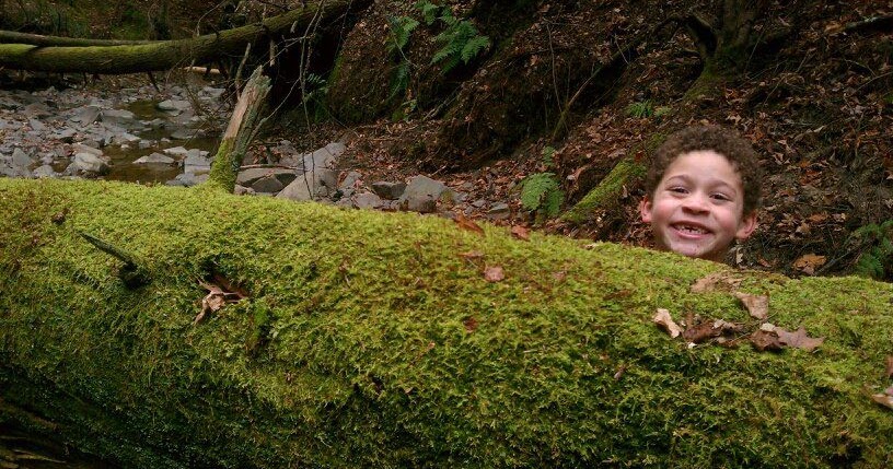 Friday Funny: My Son --The Log Boy