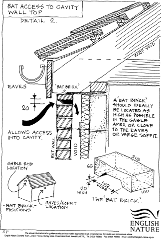 Books for Brickwork: Bat Boxes