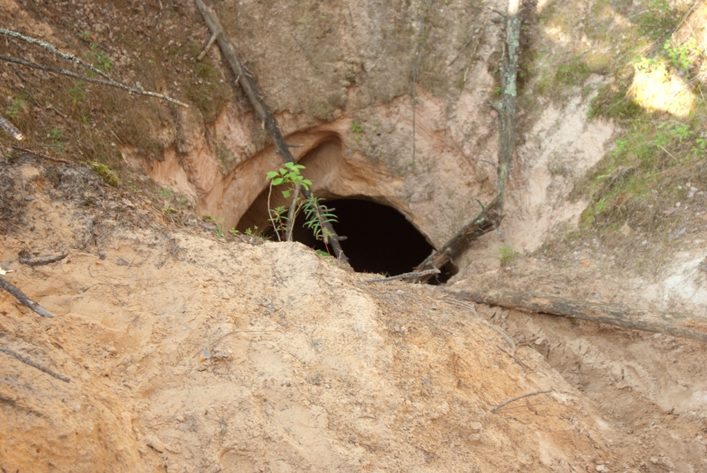 Sämmipildid: Piusa koopad