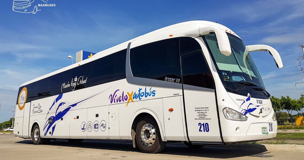 MAXIBUSES: AUTOBUSES TURÍSTICOS MANZANILLO - MARLIN GRAND CLASS (TURISMO)