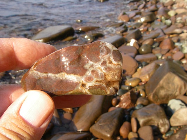 Serendipitous Intentions: Leaverites