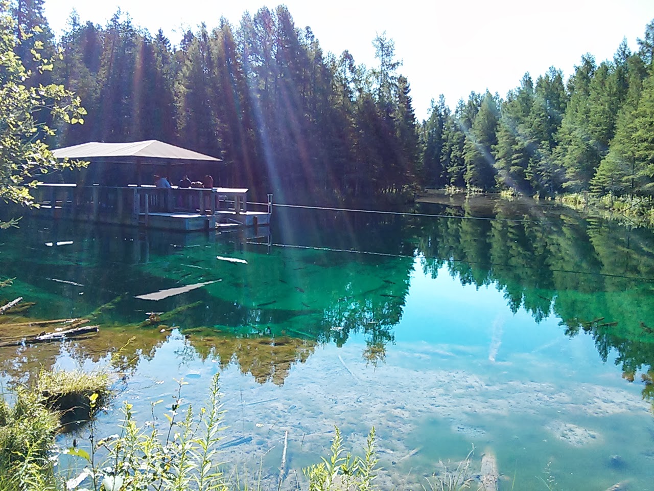 Palms Book State Park, Thompson County, MI: Kitch-iti-kipi - Explore ...
