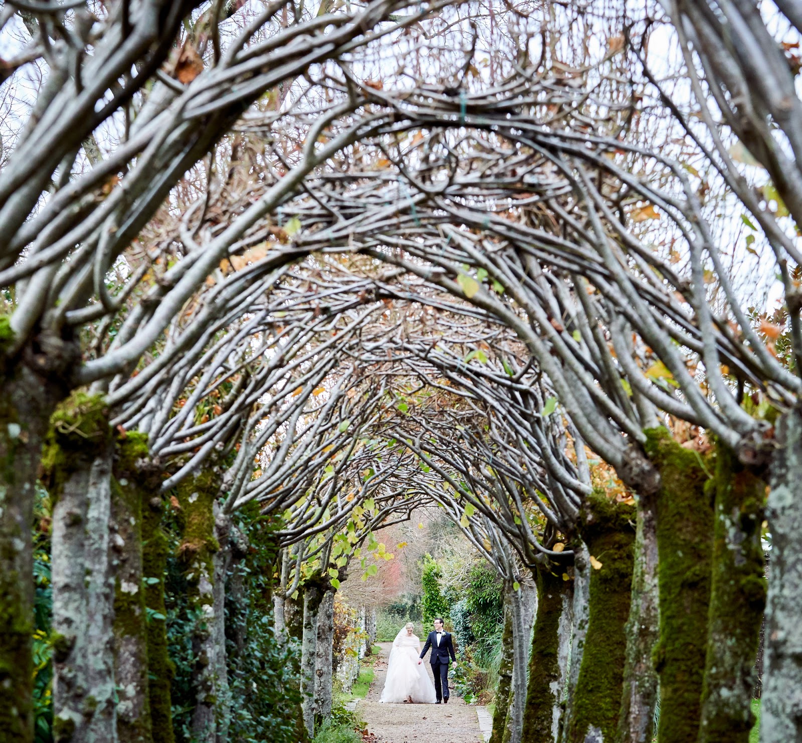 kevin wilson photography: 2018