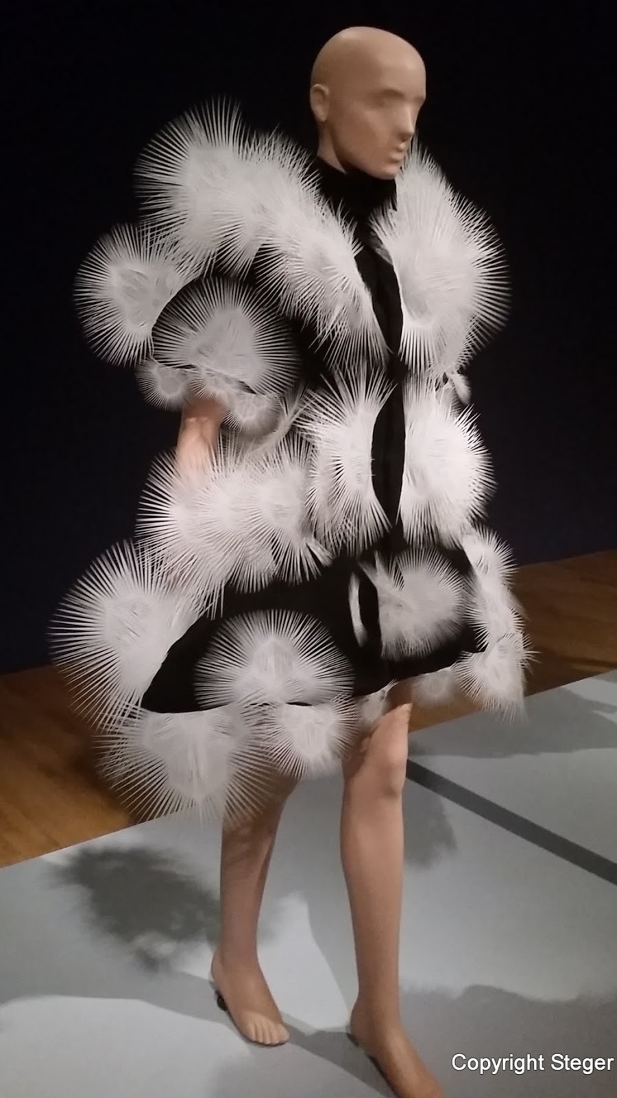 The Wheel: Transforming Fashion