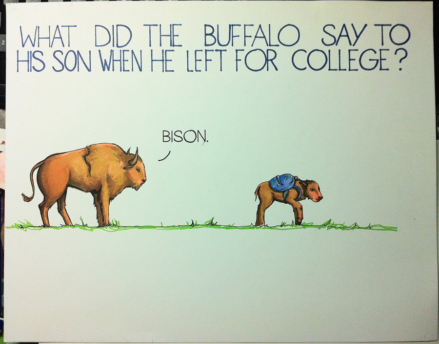 Have a LOL Break!: What did the buffalo say to his son when he left for ...