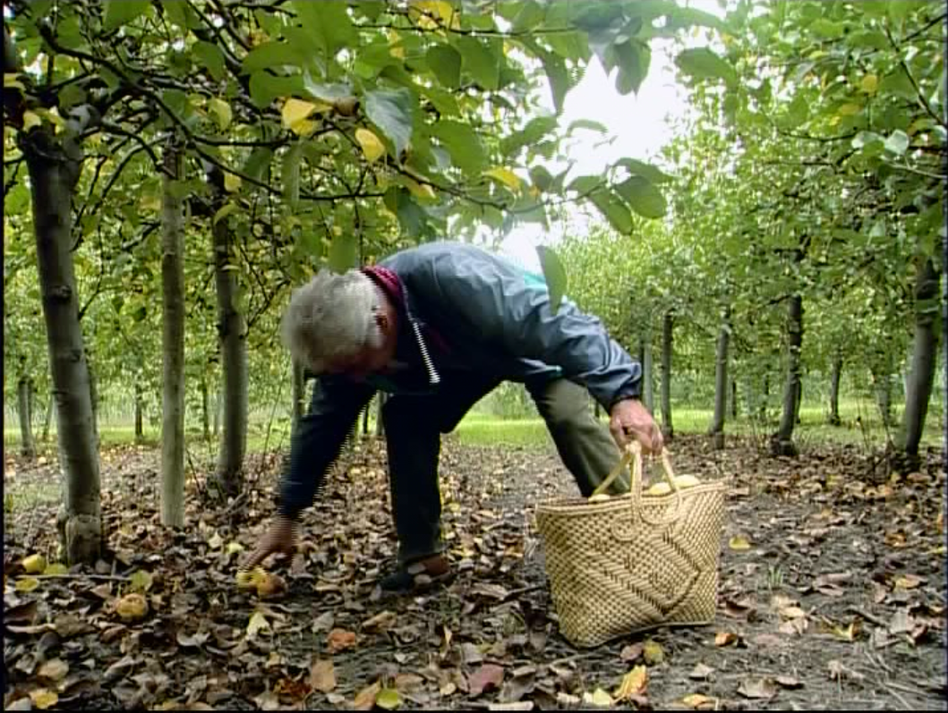 A Sesión continua: LOS ESPIGADORES Y LA ESPIGADORA