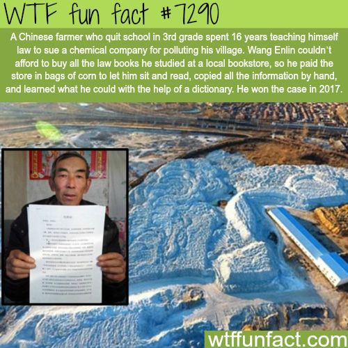 60 Totally Random And Interesting WTF Facts You Never Needed to Know ...