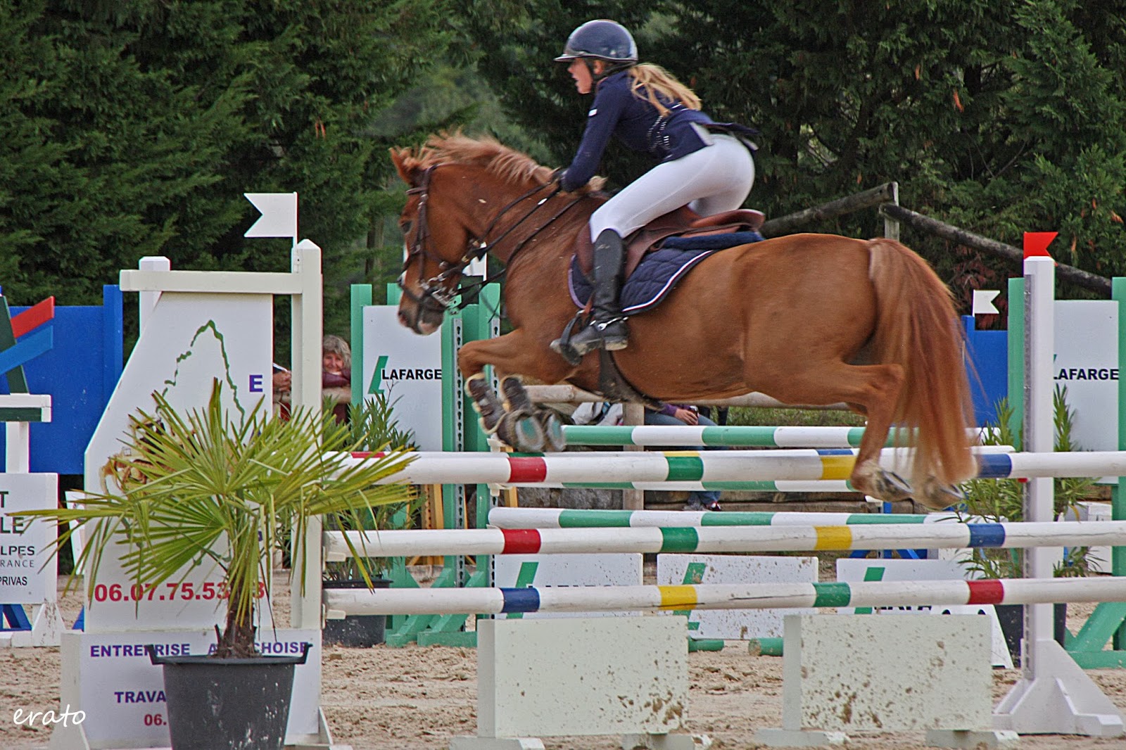 Rêveries: Saut d ' obstacles ...