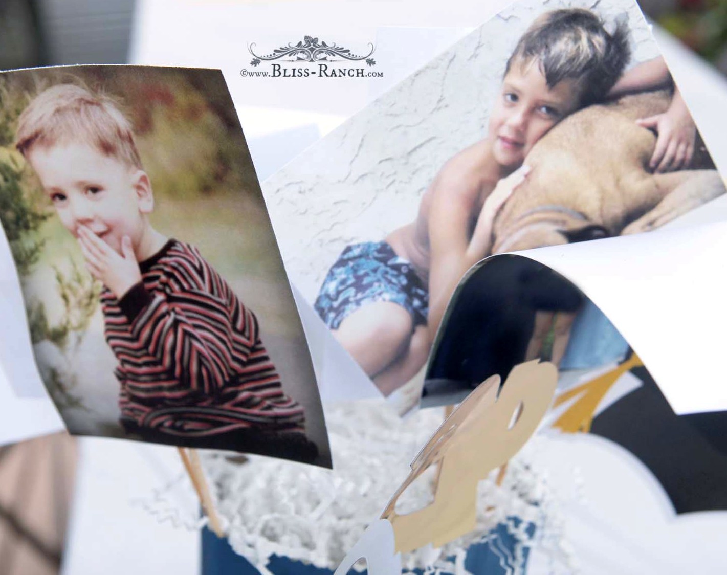 Bliss Ranch: What's Shaking At The Ranch?