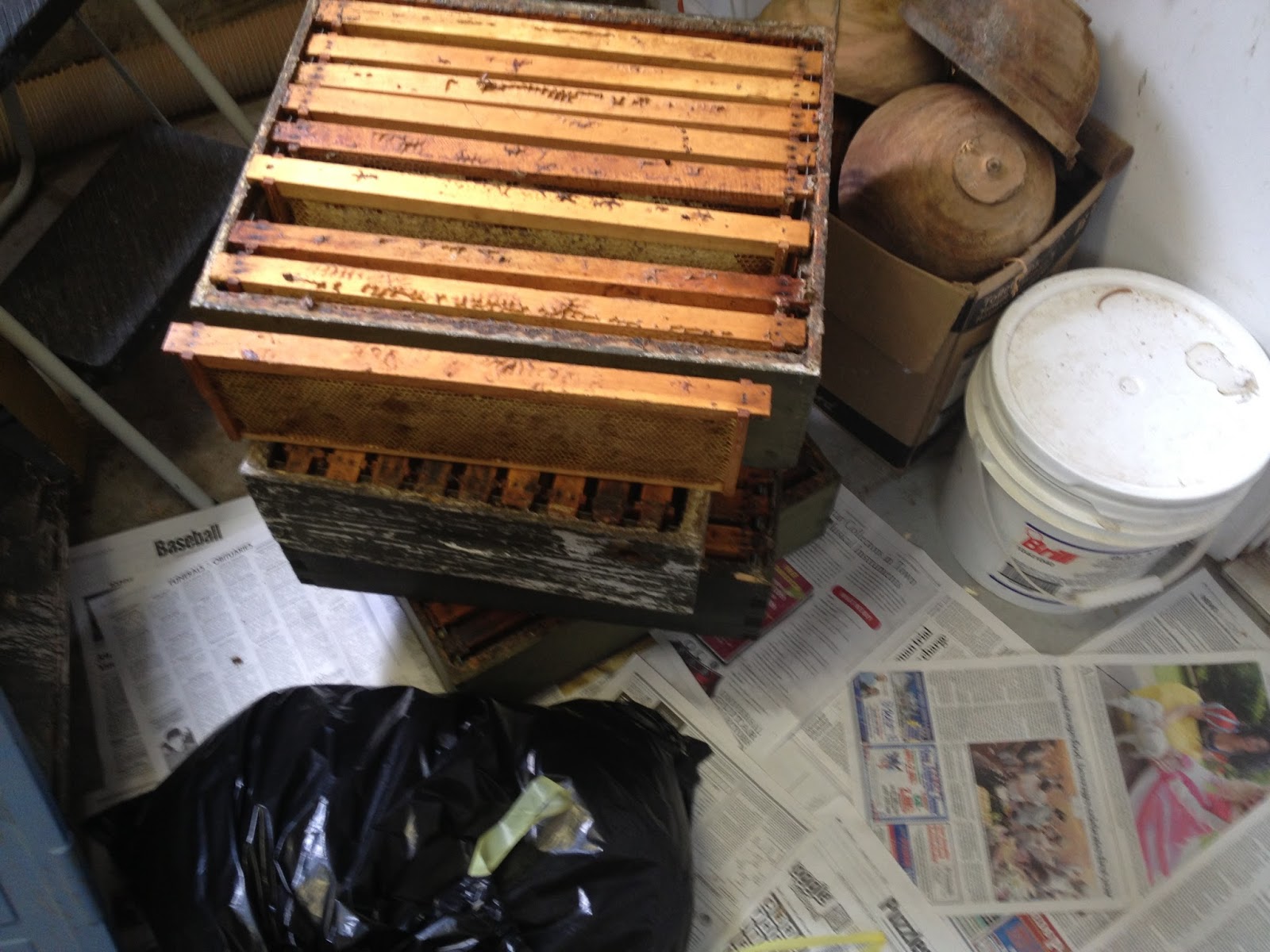 Becoming Beekeepers