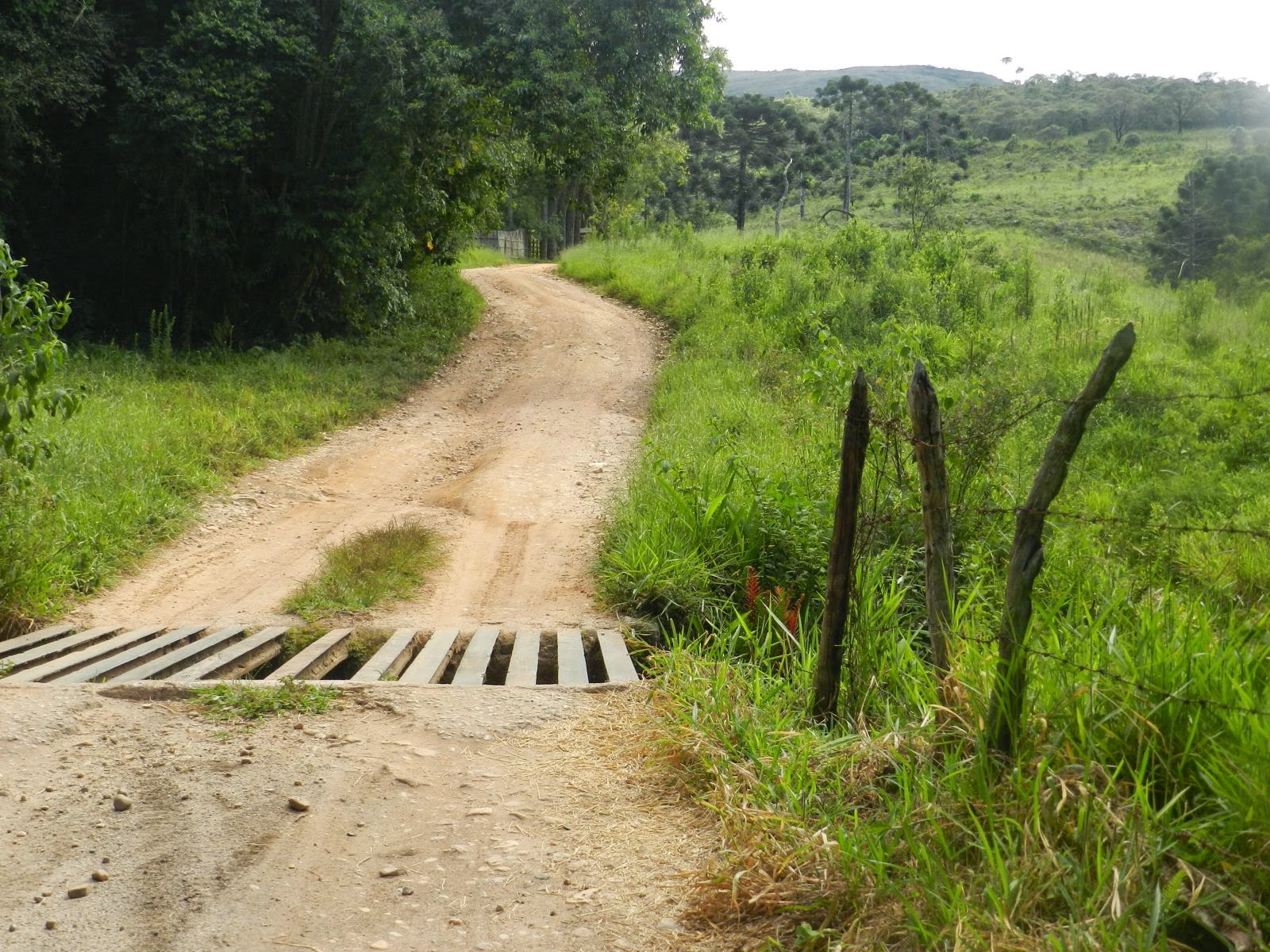 The Paddock: Fences from Brazil