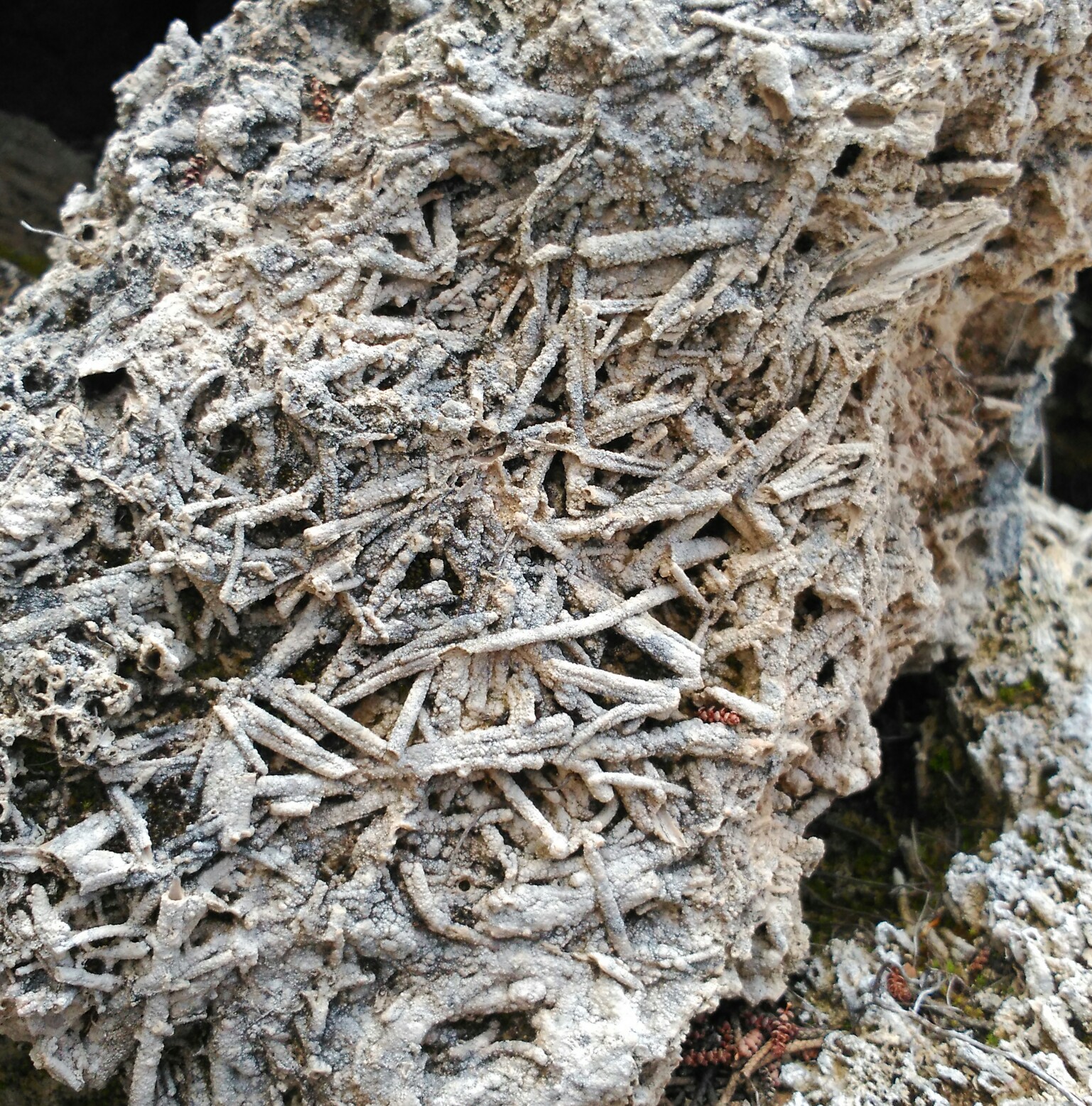 MineralesDB: Toba o Travertino de Ocio, Álava, Euskadi