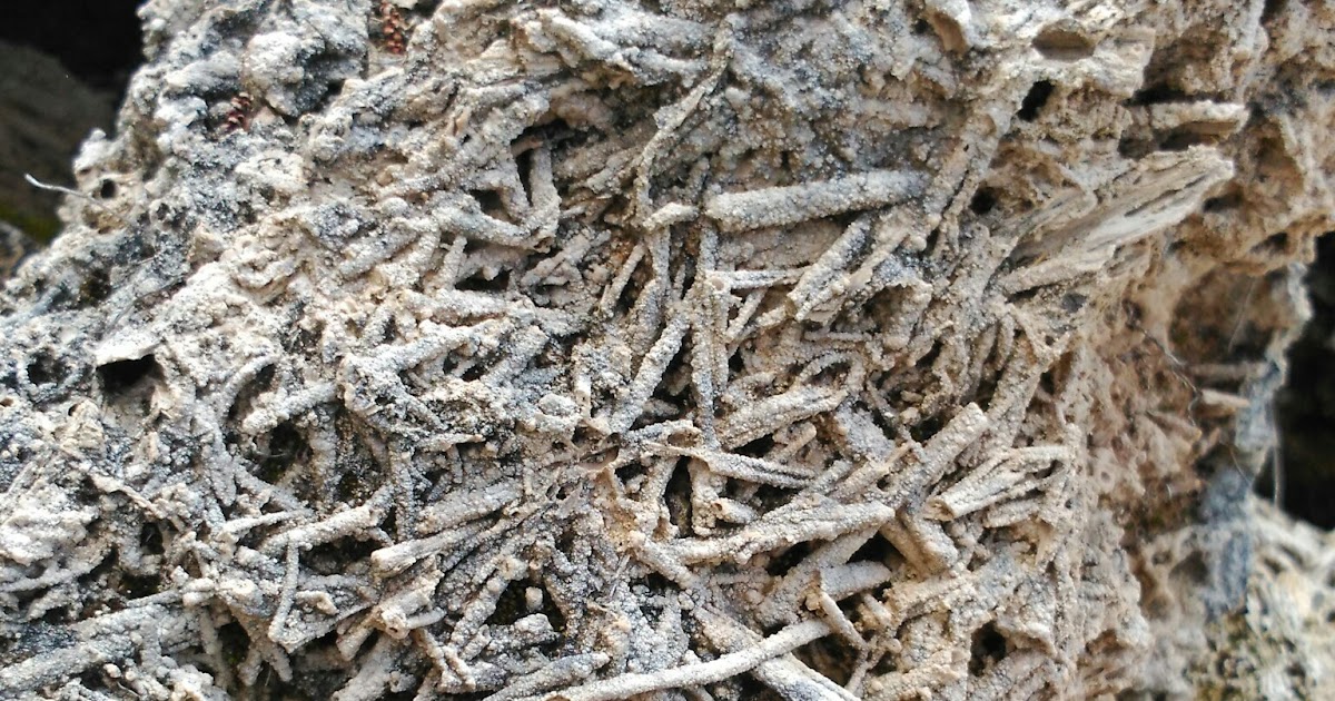 MineralesDB: Toba o Travertino de Ocio, Álava, Euskadi