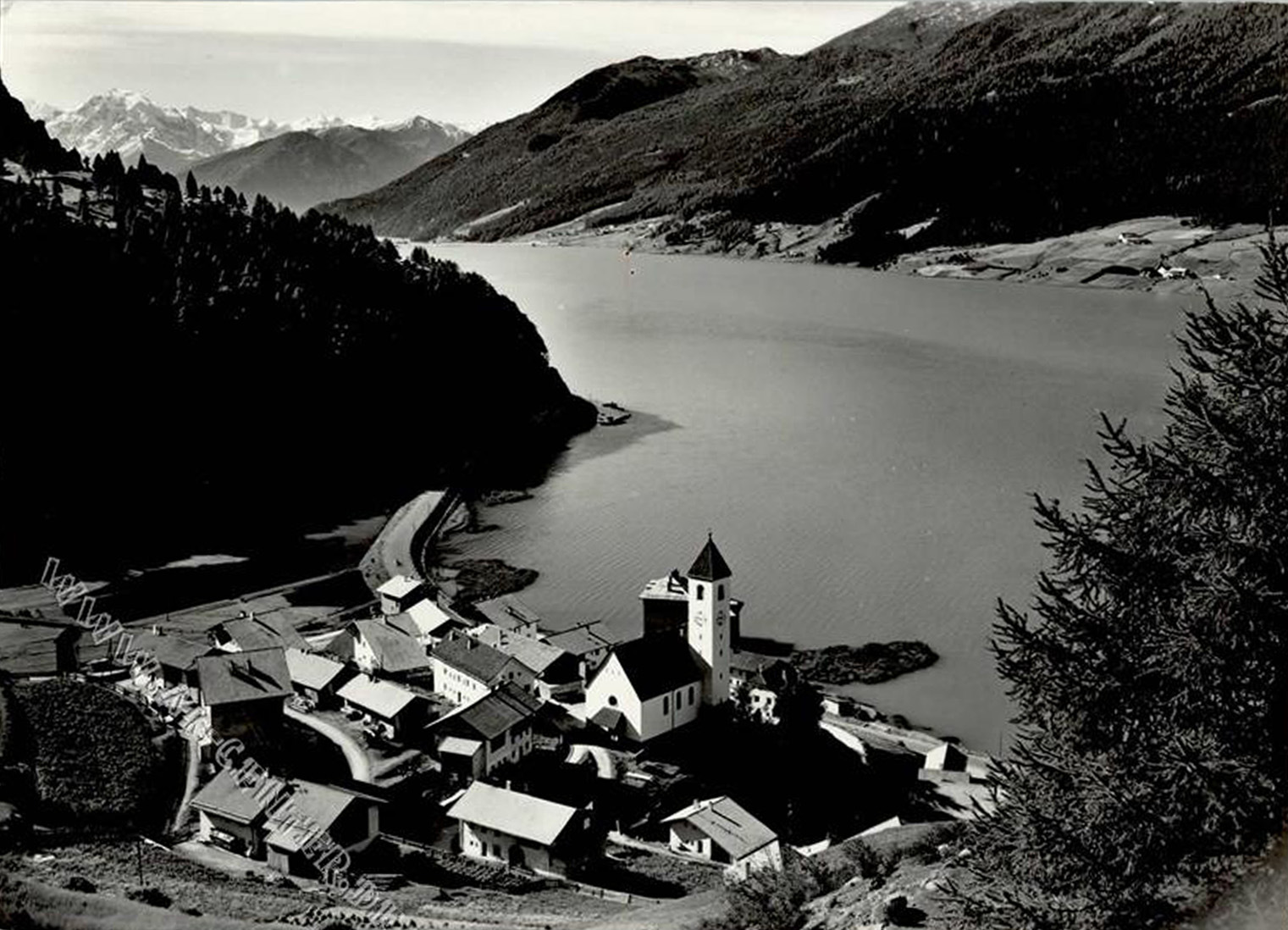 cipputiblog: Il lago, la diga e il campanile di Curon