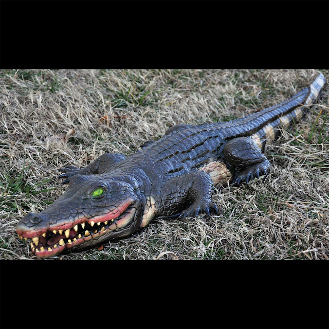 HORROR-HALL Gothic Cheap Halloween Props and Costume Accessories ...