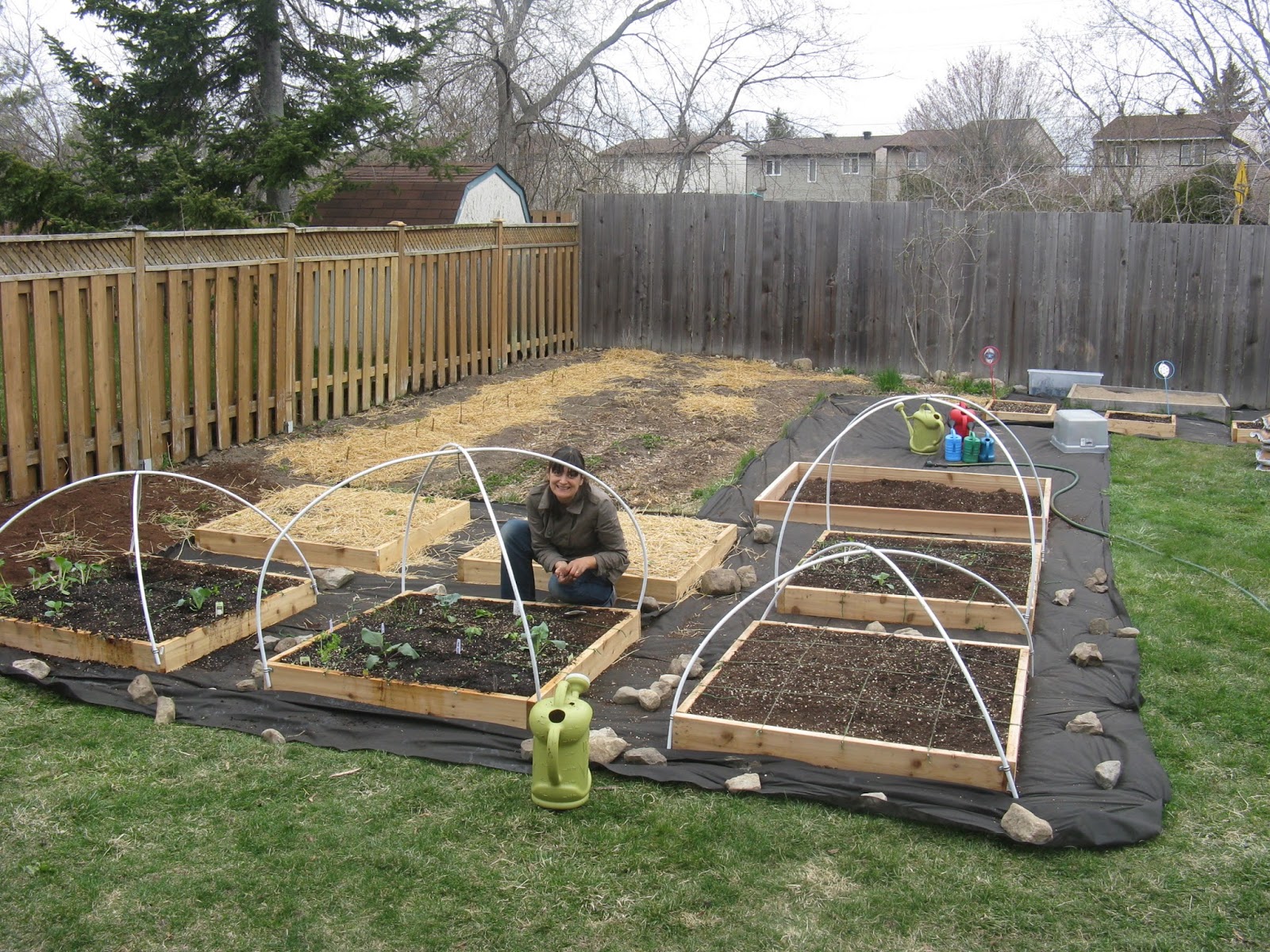 Raised Food: building my garden