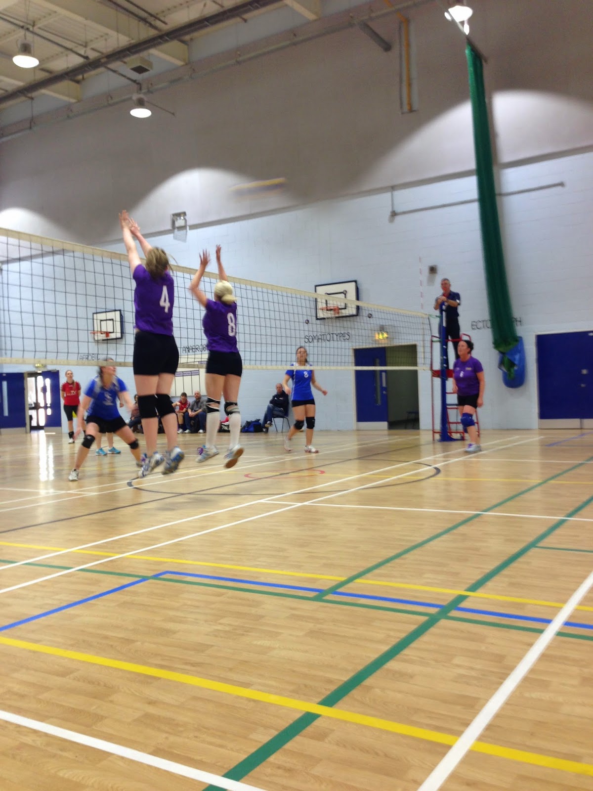 Worthing Volleyball Club: April 2014