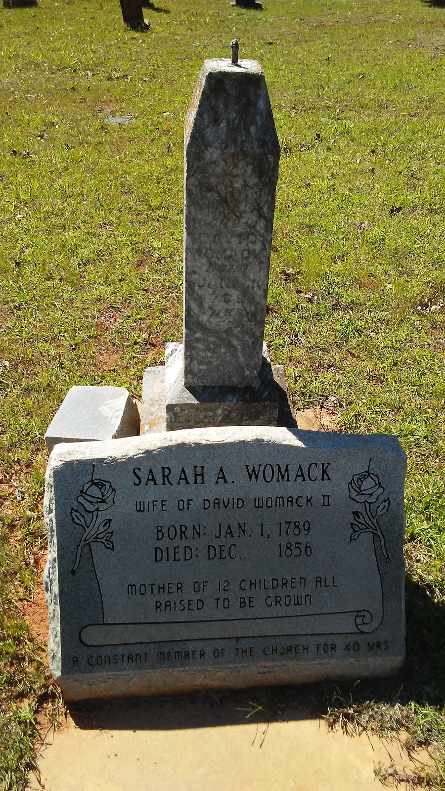 Gone to Texas!: 3-30 Sarah Norris Womack's grave and Sam Gandy's grave ...
