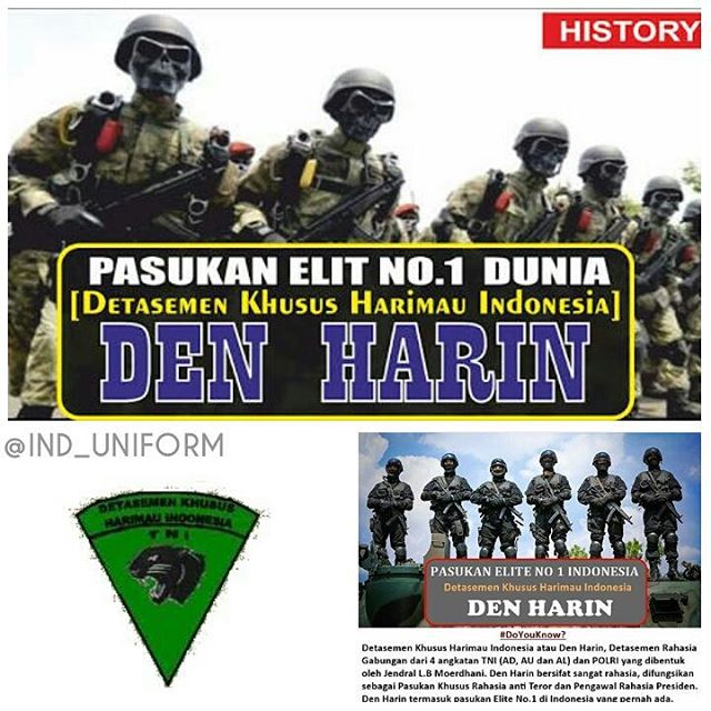 Den Harin (Detasemen Khusus Harimau Indonesia) | Berita Dan Seputar ...
