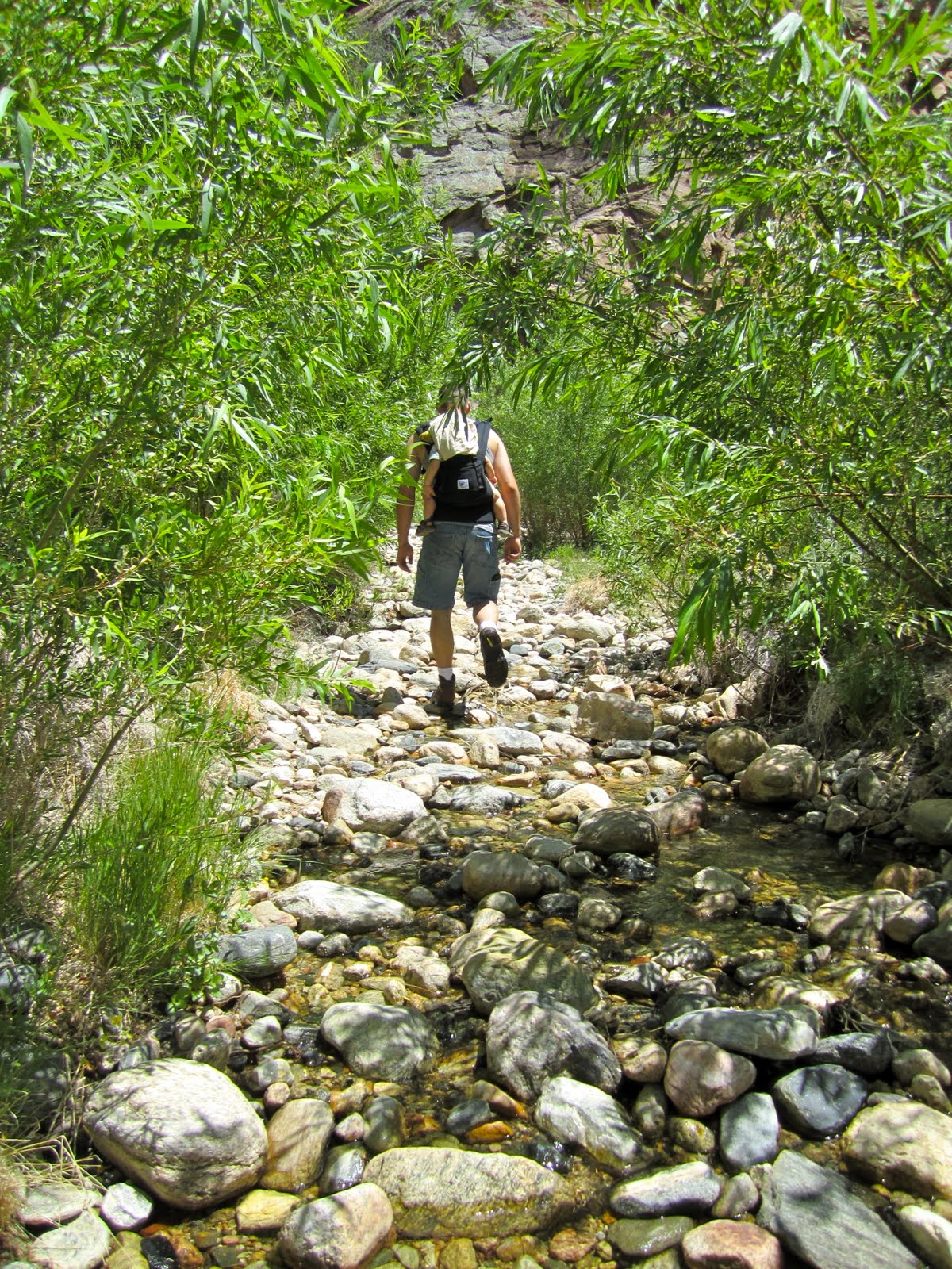 The Silent Planet: Frye Mesa Reservoir