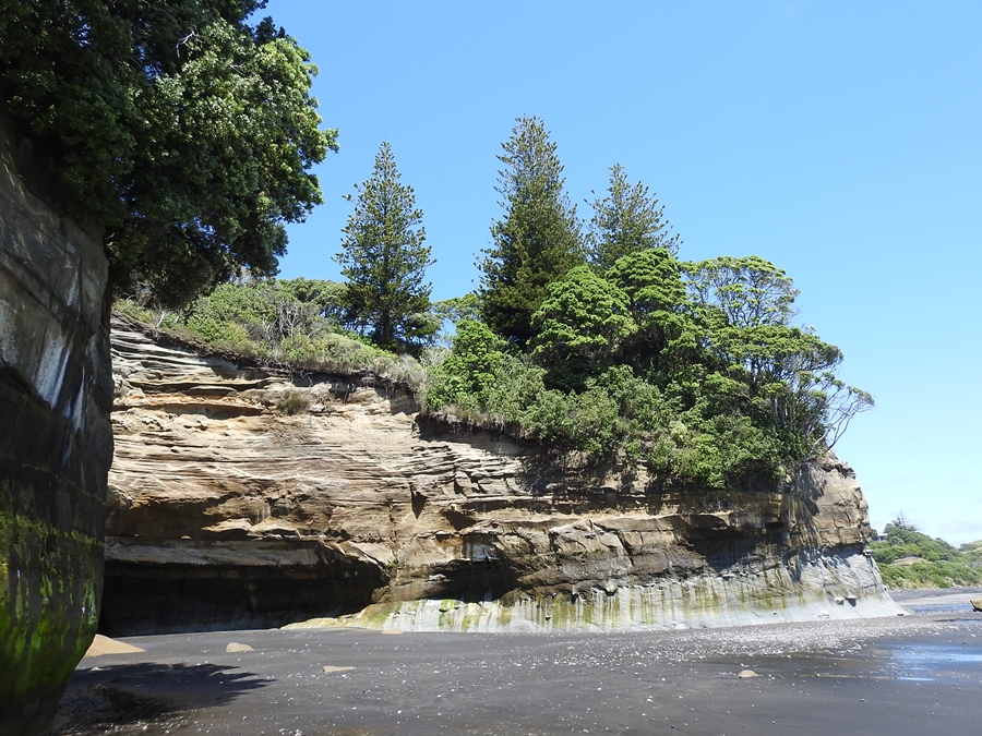 photographing New Zealand: wai-iti beach
