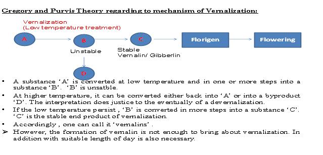Vernalization ~ Dhiraj's Blog