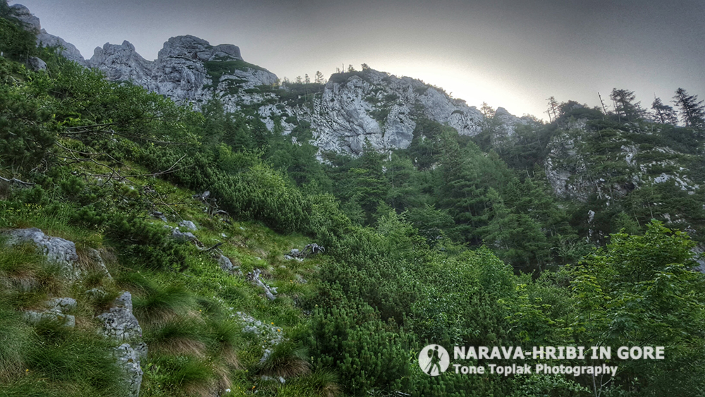 Narava hribi in gore: Grapa za Vrati-Planjava 2392m