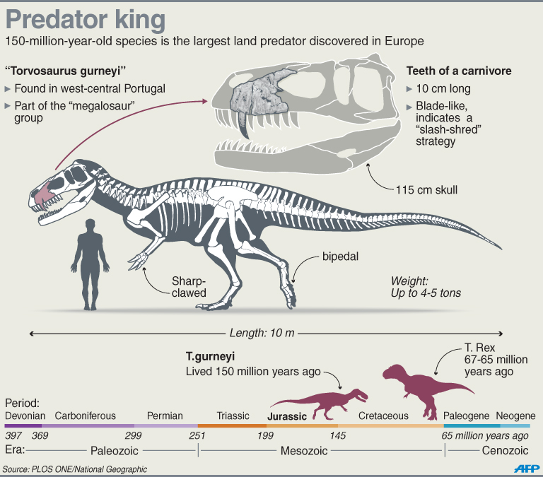 Species New to Science: [Paleontology • 2014] Torvosaurus gurneyi • the ...