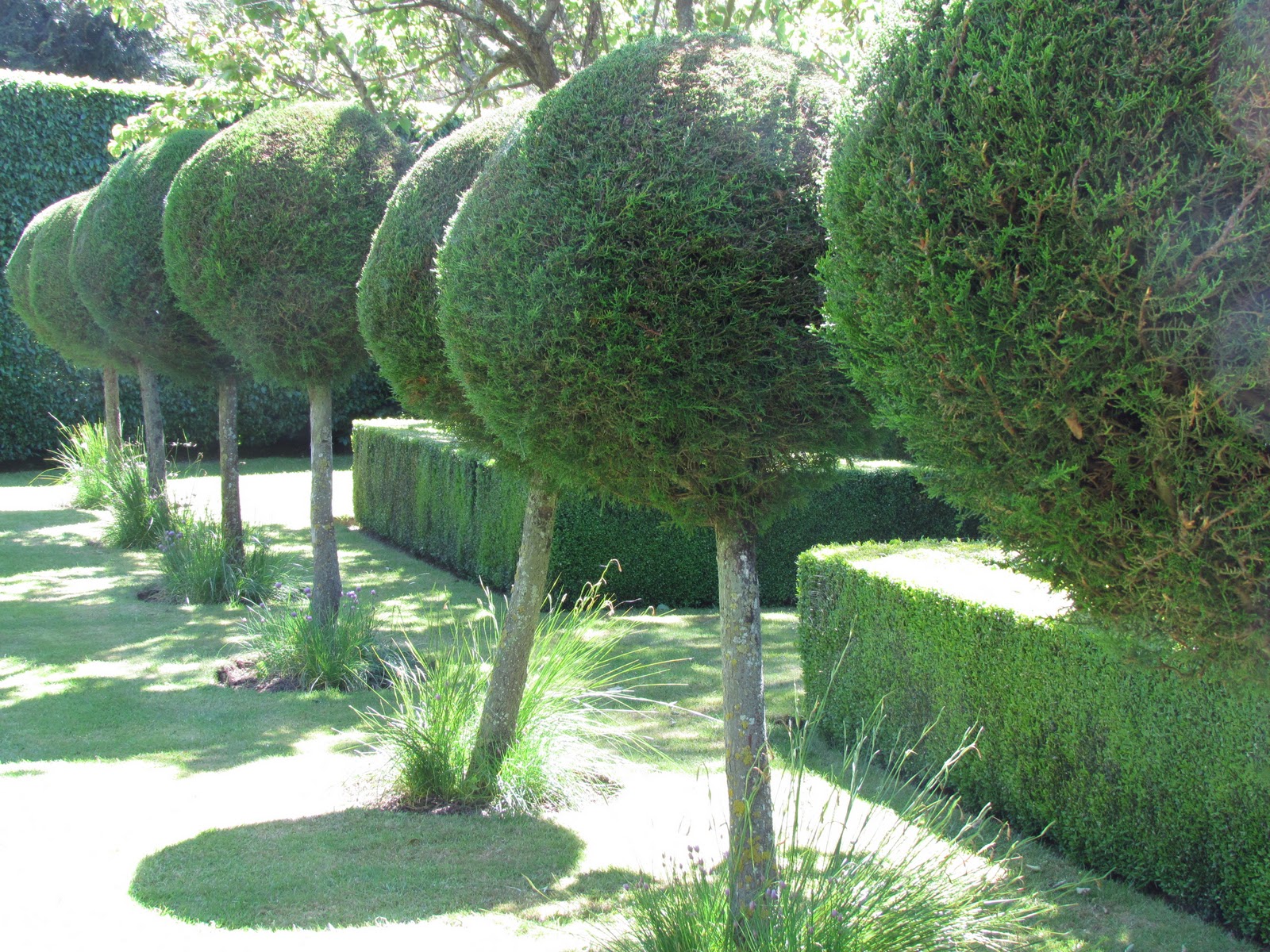 Lady Mondegreen's Secret Garden: Ohoka Garden Tour