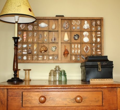 46 Shell Decor Ideas for your Seashell Collection